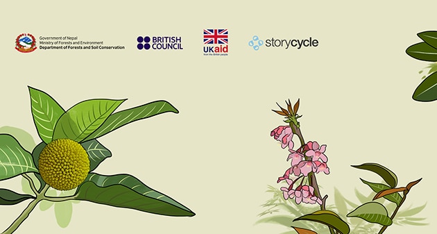Plantation Toolkit – A Guide to Effective Plantation | British Council